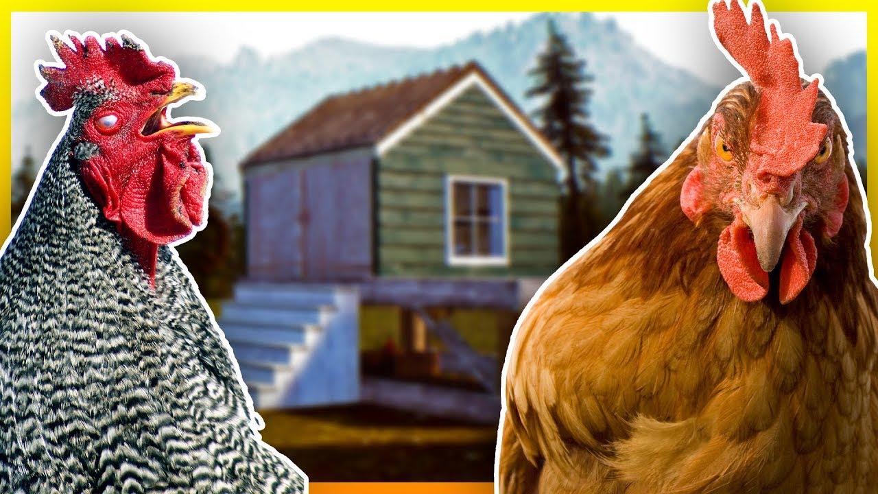 RANCH SIMULATOR : START OF CHICKEN EMPIRE | CJN CREATIONS | S-2 | - YouTube