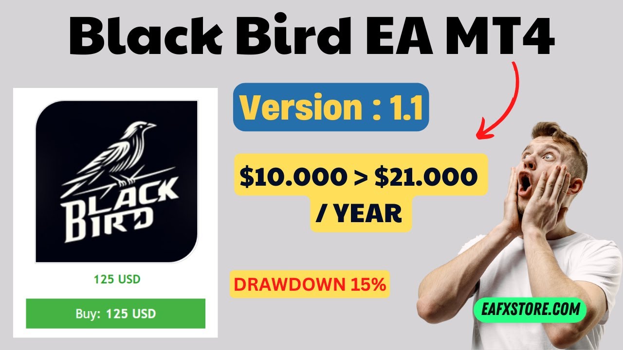 Backtest EA | Black Bird MT4 Review | FX STORE EA - YouTube