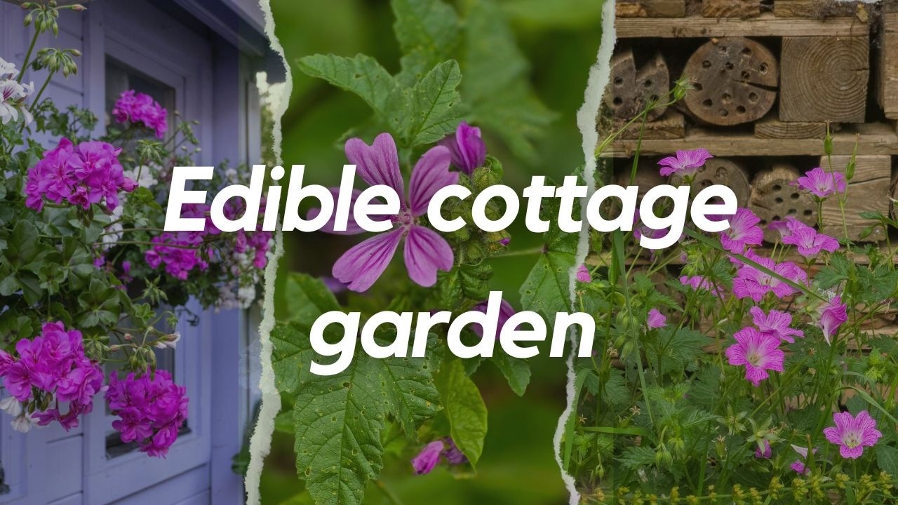 Growing flowers and food together - the new trend for old cottage ...