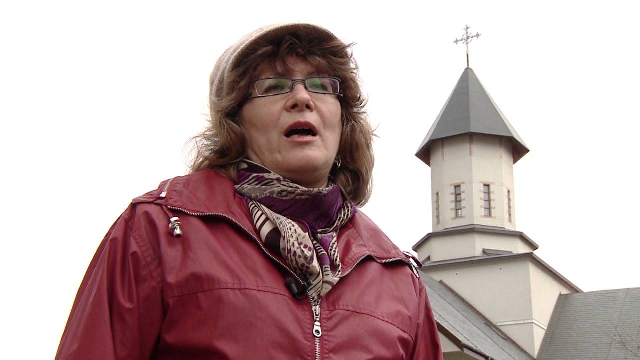 Florin Boca Senator.mpg - YouTube