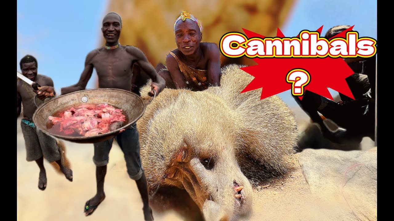 African hunters hunt super baboons#Documentary#hadzabetribe #hadzatribe ...