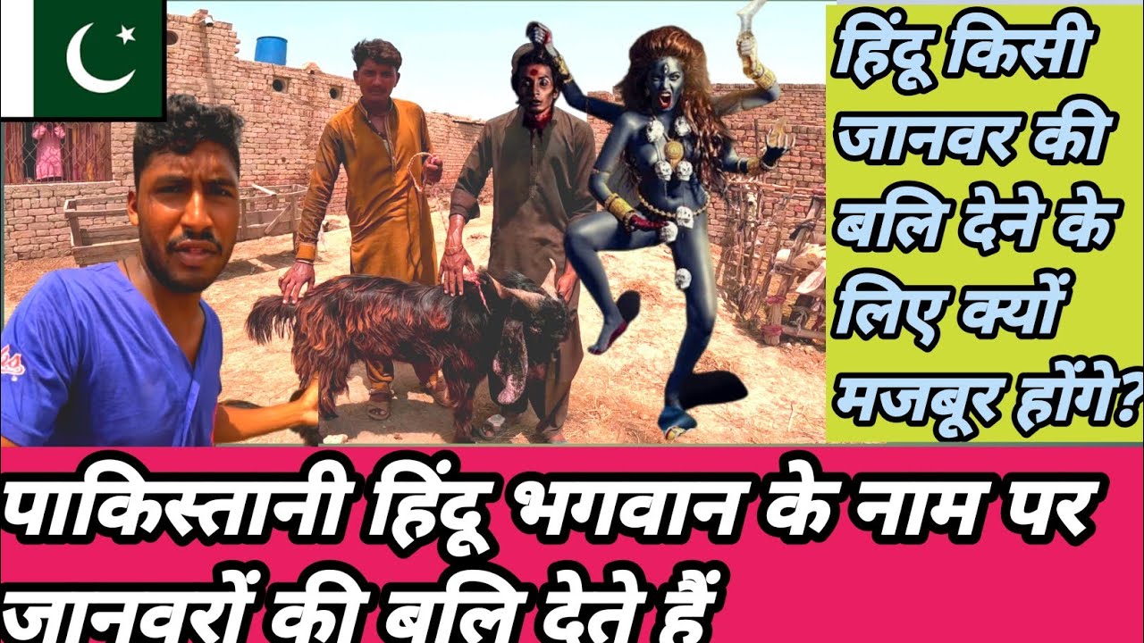 Why do Hindus in Pakistan sacrifice a goat in the name of Maa Kali ...