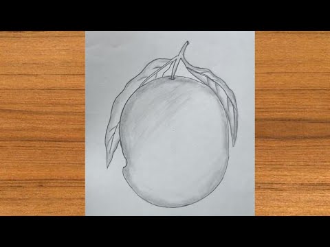 How to draw a Mango Pencil Sketch 😯🎨 || Easy Draw || Drawing for new ...