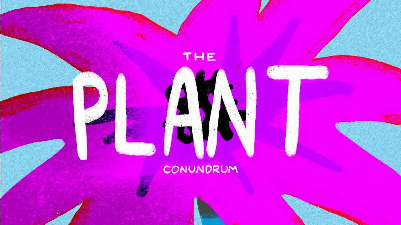 The Plant Conundrum - YouTube