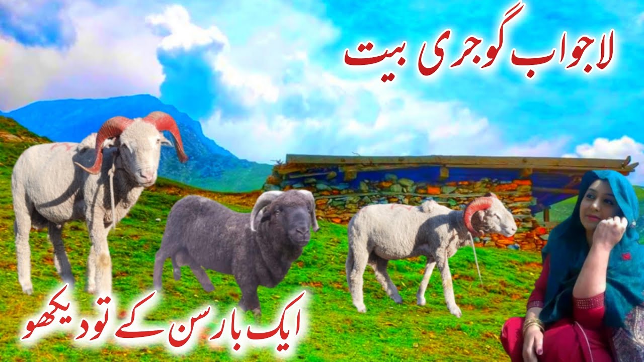 new gojri bait 2023/gojri geet gojri song/Pahari song Pahari geet/gojri ...