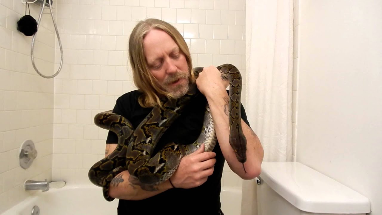 big john my male reticulated python - YouTube