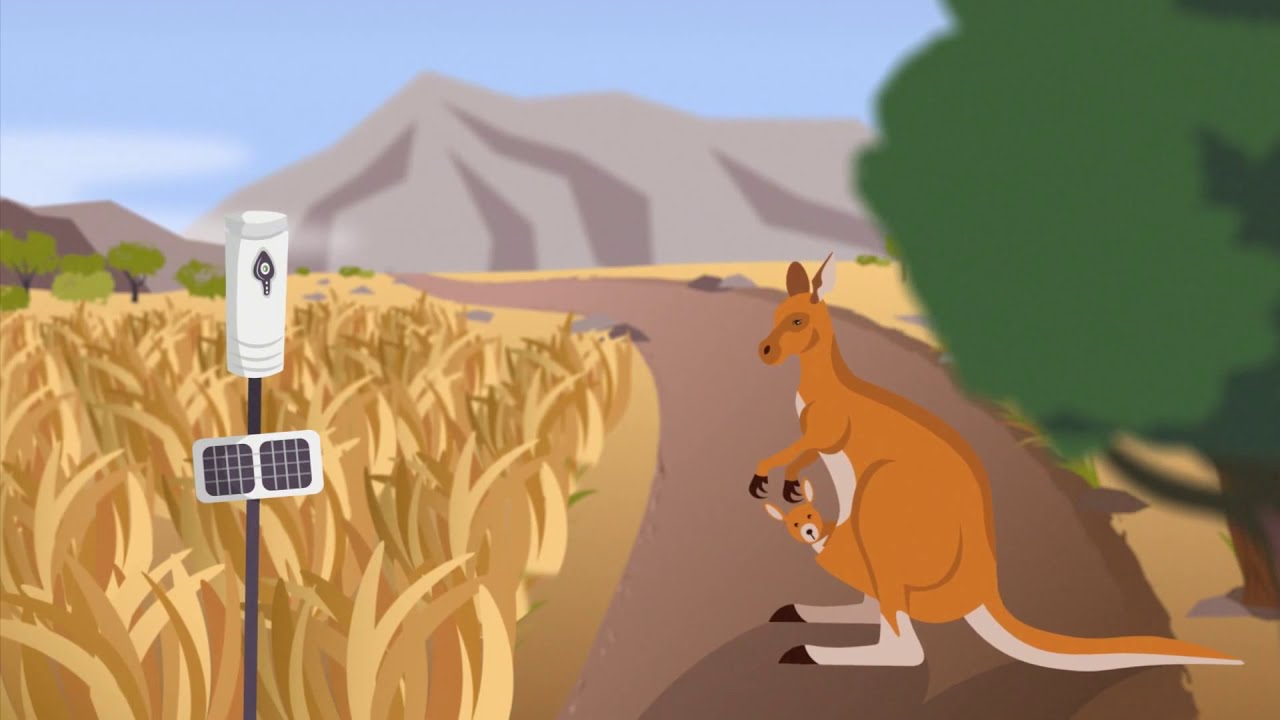 Introducing KAKAXI - YouTube