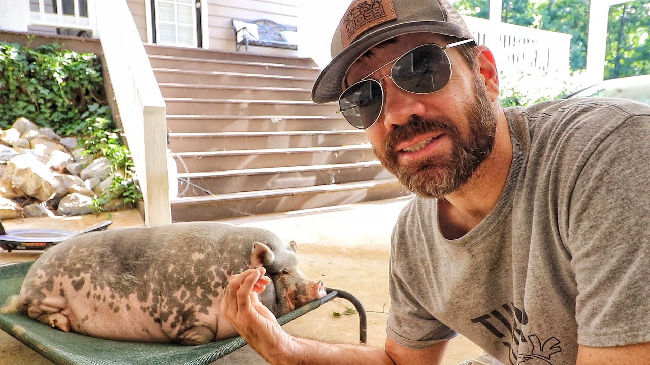 Saying GOODBYE to The Farm & Animals. - YouTube