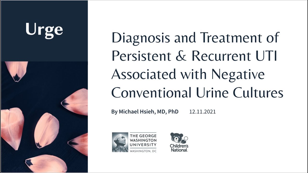 Diagnosis and treatment of persistent and recurrent UTI with negative ...