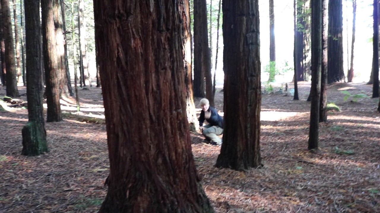 Investigating rocks - YouTube