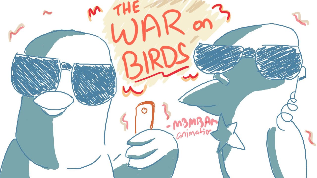 War on Birds - Mbmbam Animation - YouTube