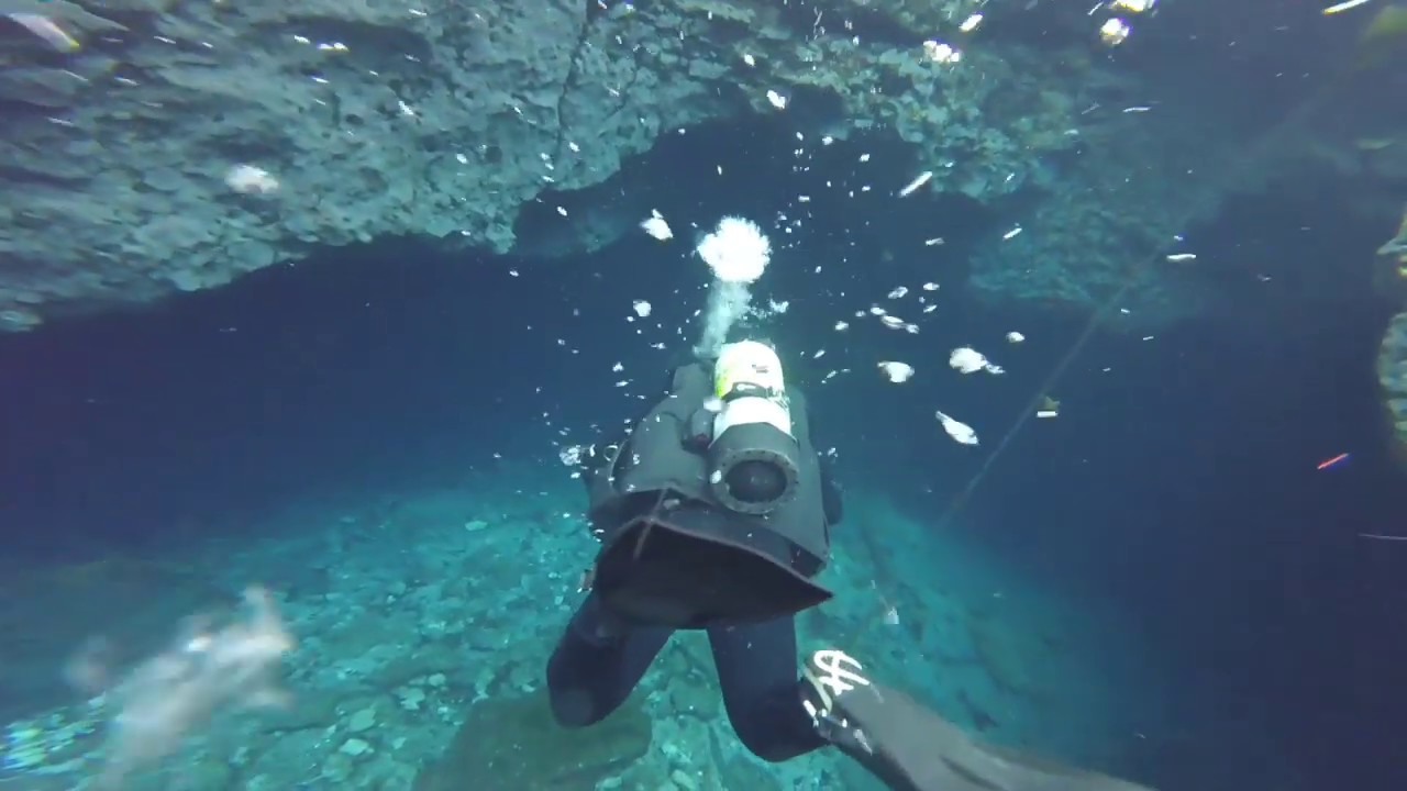 Paradise Springs Diving in Ocala - YouTube