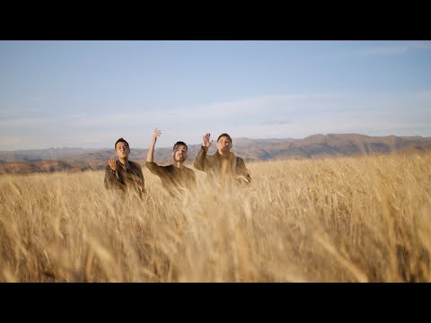 Proyecto WAWQI - Como Pájaros en el Aire