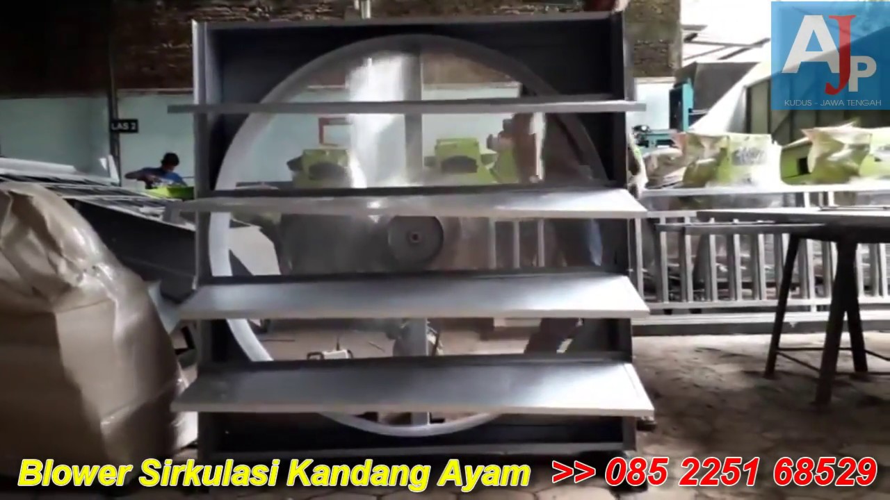 blower kandang ayam close house - blower sirkulasi - blower kandang ...