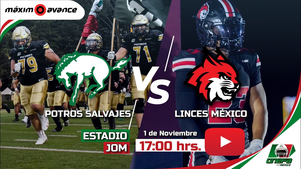 MÁXIMO AVANCE EN VIVO: POTROS SALVAJES vs LINCES UVM | ONEFA JUVENIL OTOÑO 2024 #ONEFA # ...