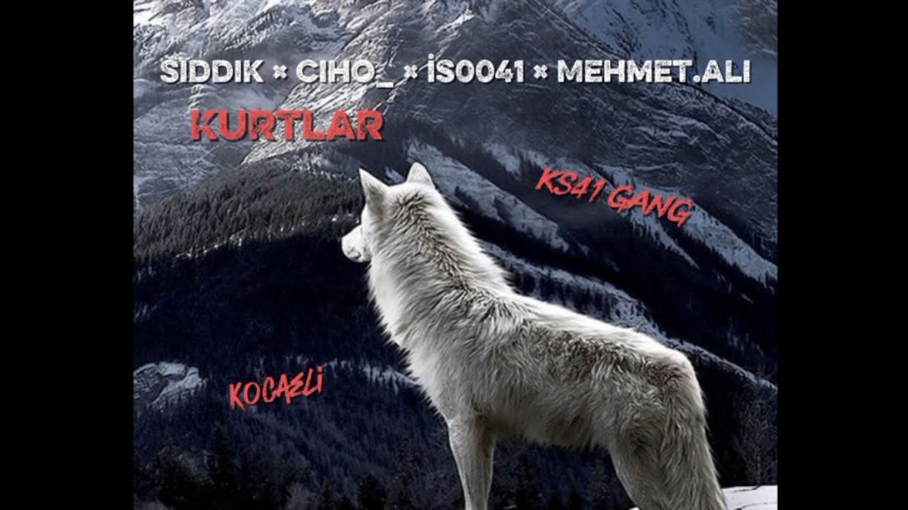 SIDDIK x CİHO x İSOO41 x MEHMET.ALİ - KURTLAR (Official Video) prod.by ...