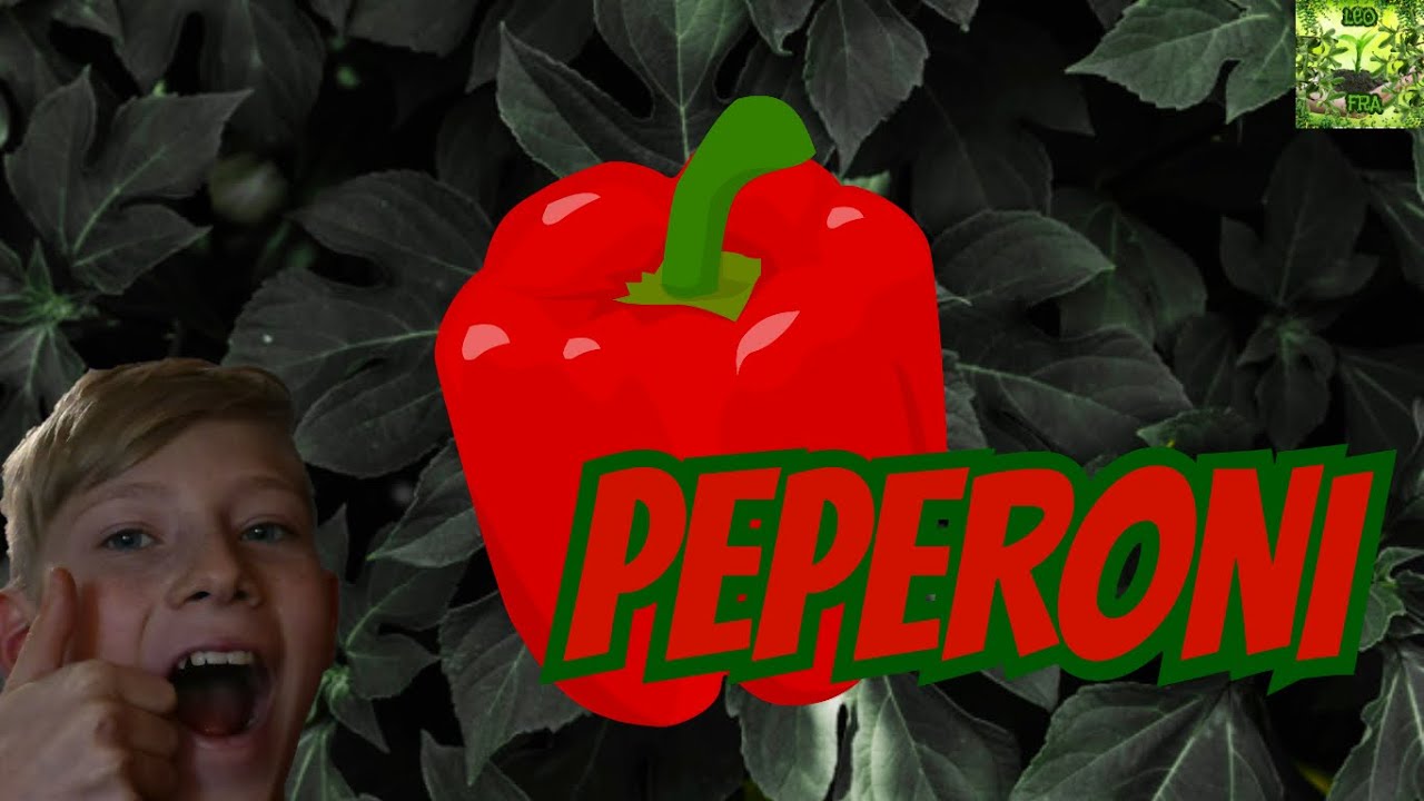 PEPERONI - TUTORIAL FACILE - YouTube