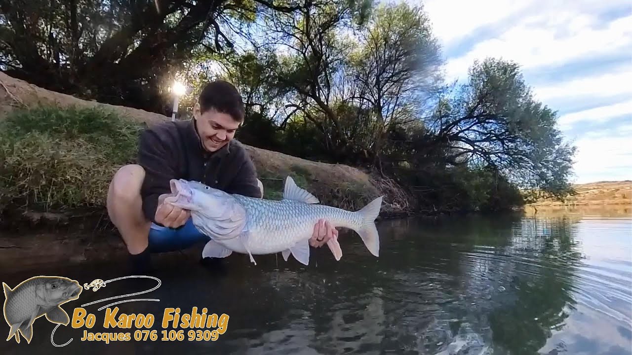 Fishing the Orange River, Largemouth Yellowfish. - YouTube