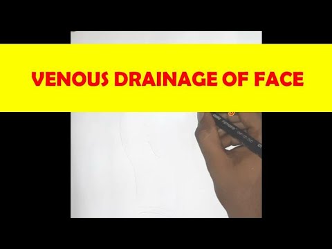 How to draw Venous Drainage of Face- Head and Neck Anatomy - YouTube