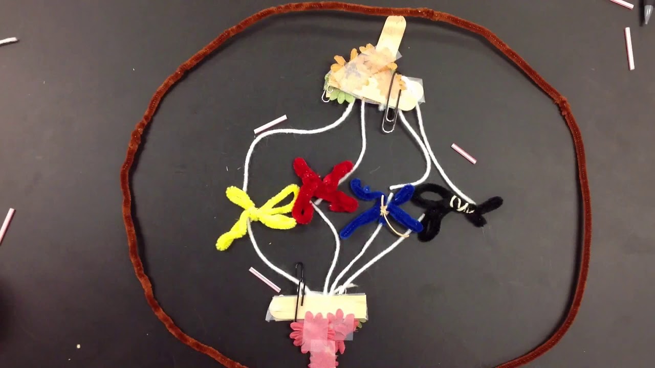 Copy of Interphase and Mitosis- Snapart Project - YouTube