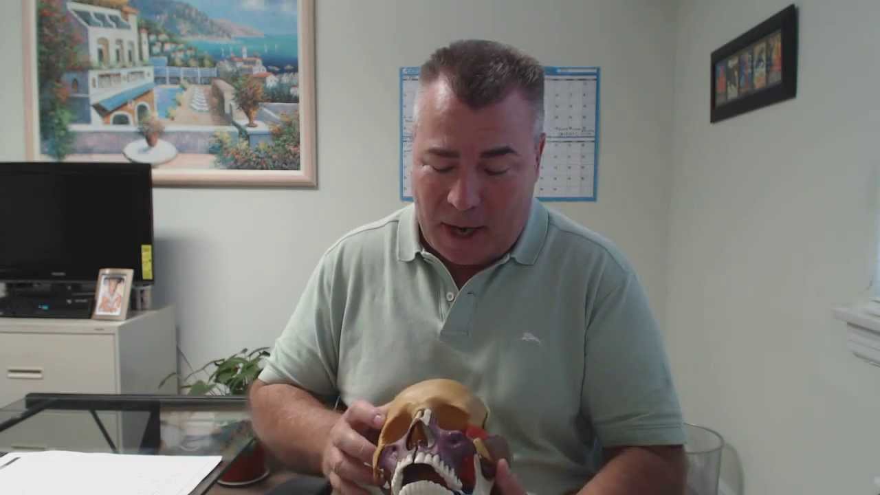 Cranial Release Technique (CRT) - Dr. Doreste - Convention Video - YouTube