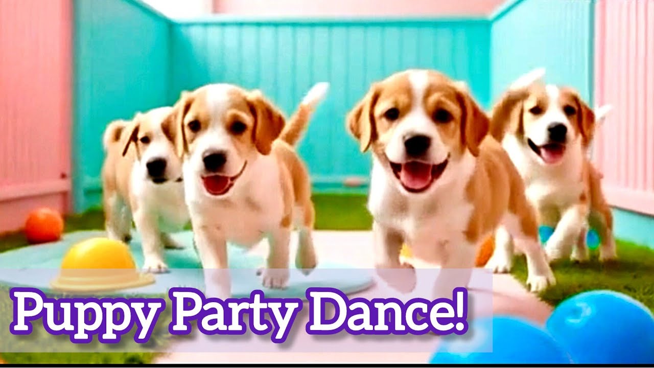 Puppy Party Dance! | Cutest Dancing Puppies Ever! | fun party - YouTube