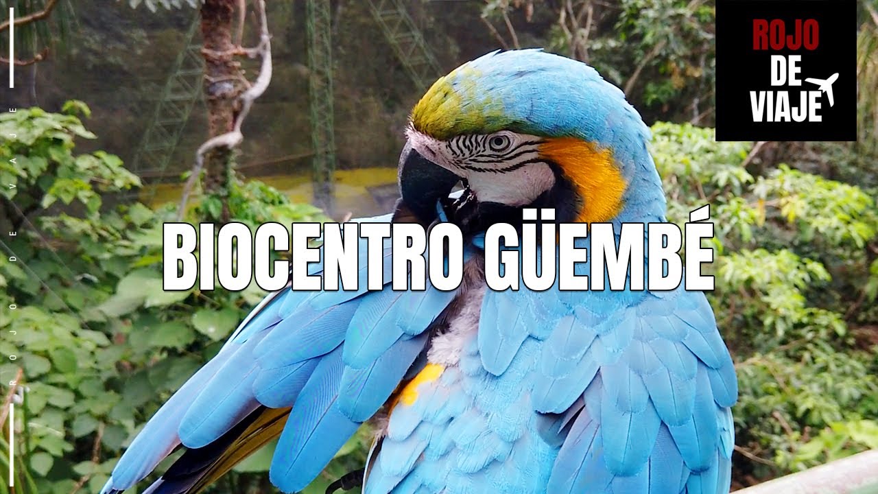 Biocentro GÜEMBÉ - YouTube
