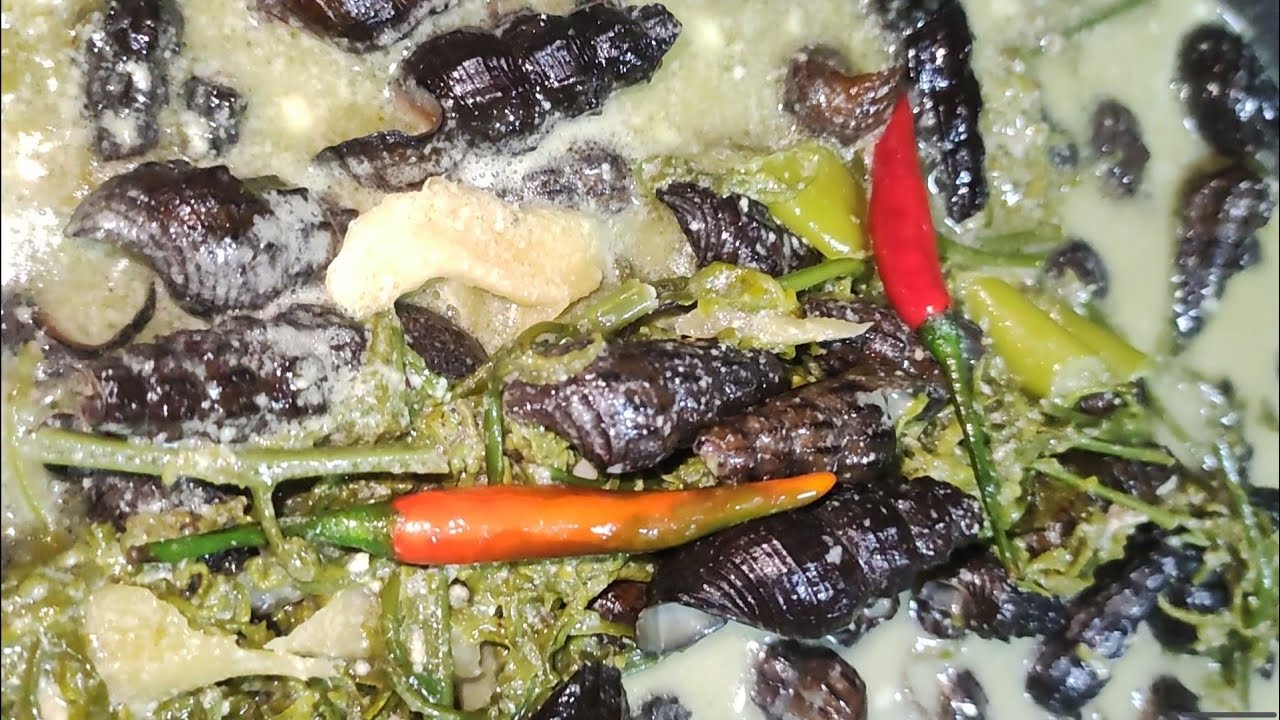 Gatang Susong Pilipit At Bangus Office Lunch Kain Po - YouTube