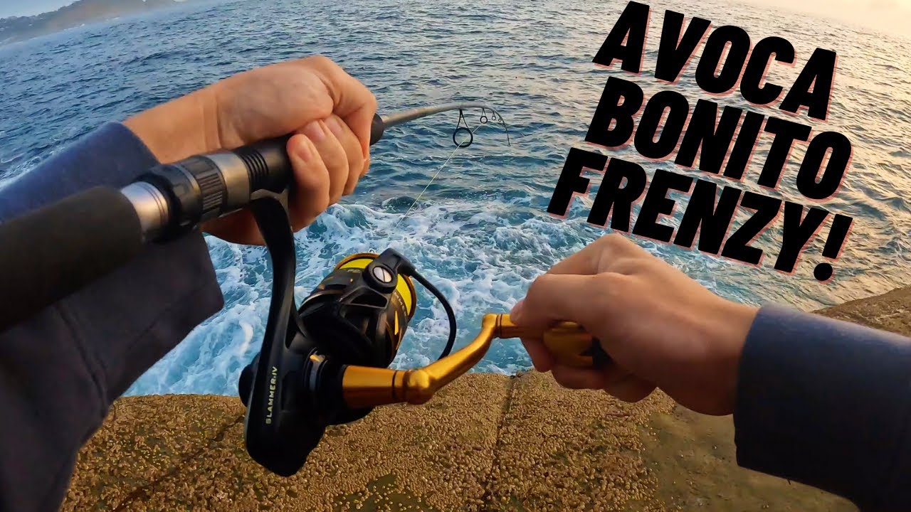 Rock Fishing Avoca - Spinning metal lures for FIRED up BONITO - YouTube