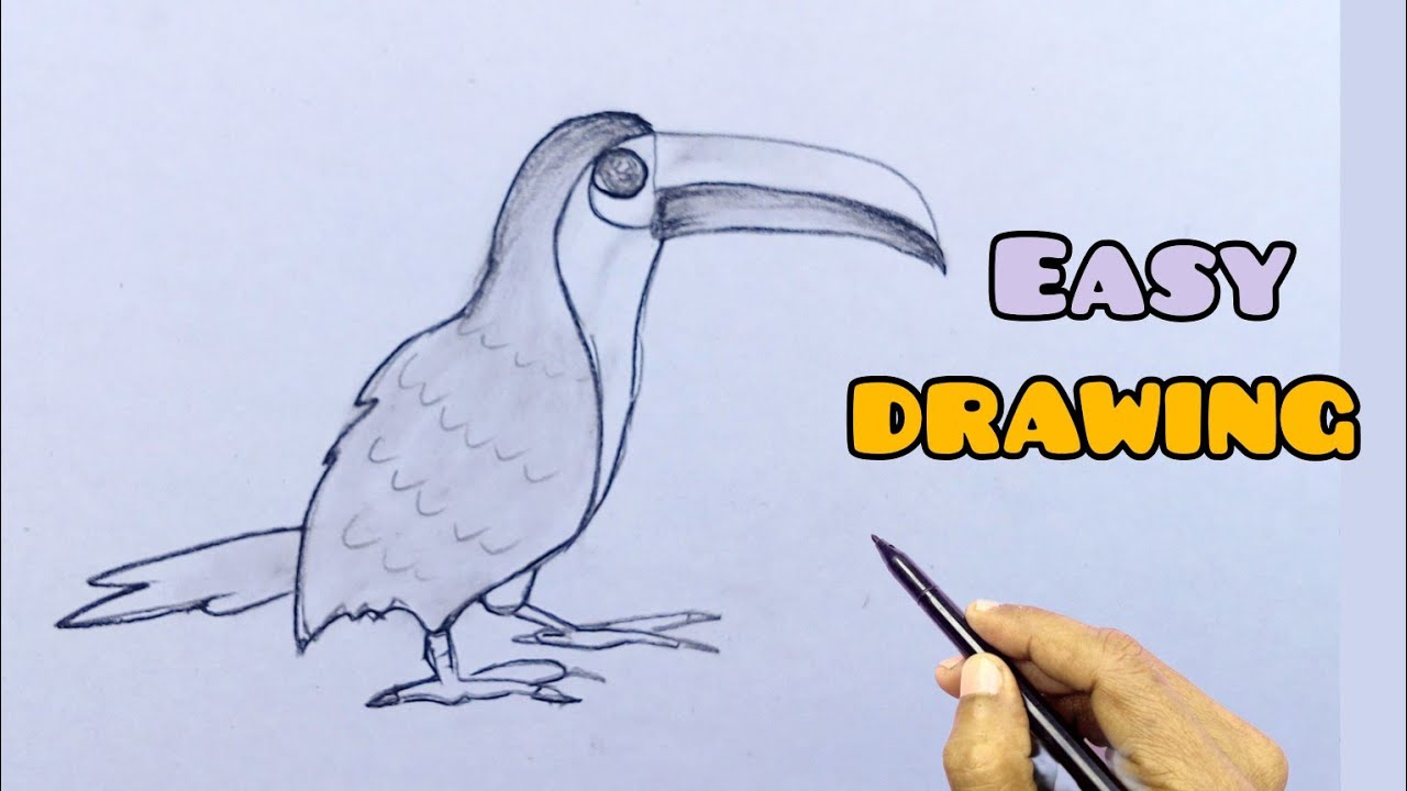 draw a toucan bird | how to draw a toucan easy step by step | easy ...