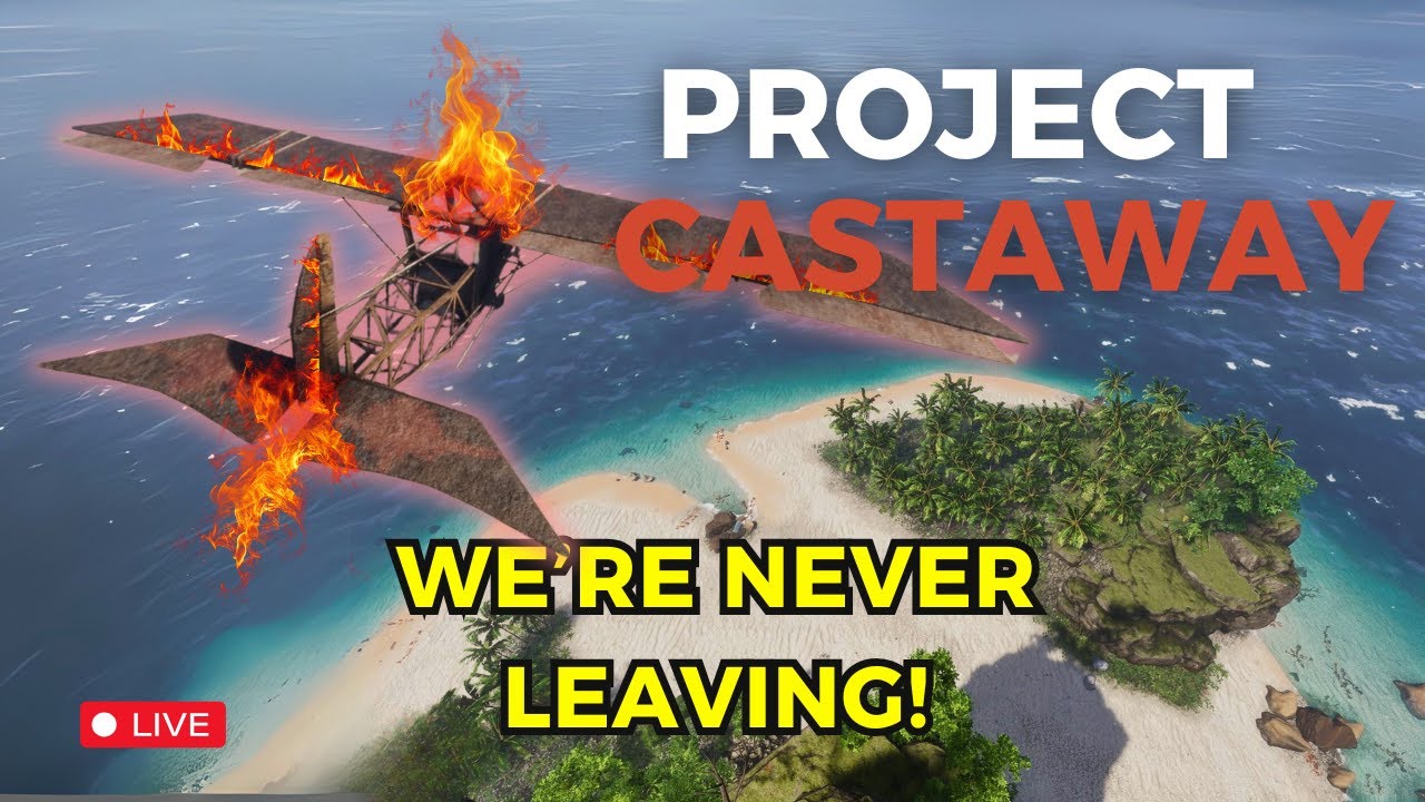 Finishing The Airplane and Finally Seeing The Ending of Project ...