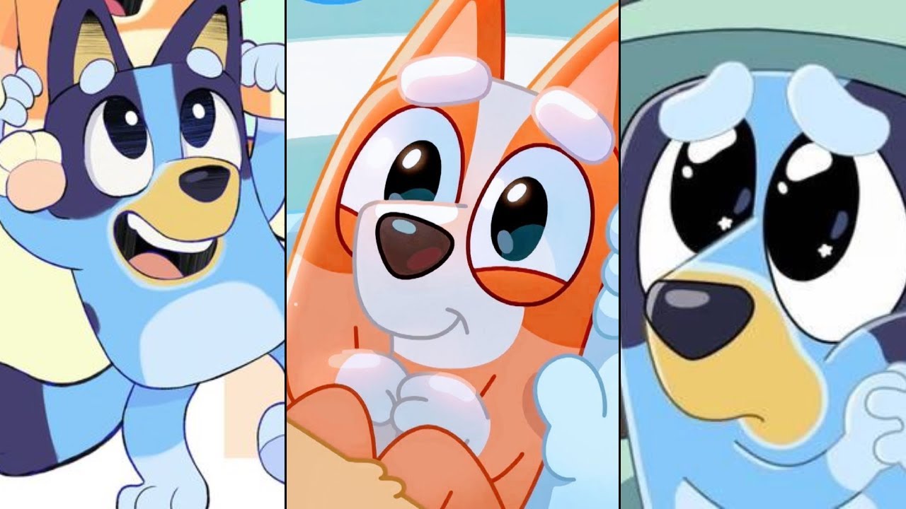 Bluey TikToks - Best Tiktok Compilation 2024 #157 - YouTube