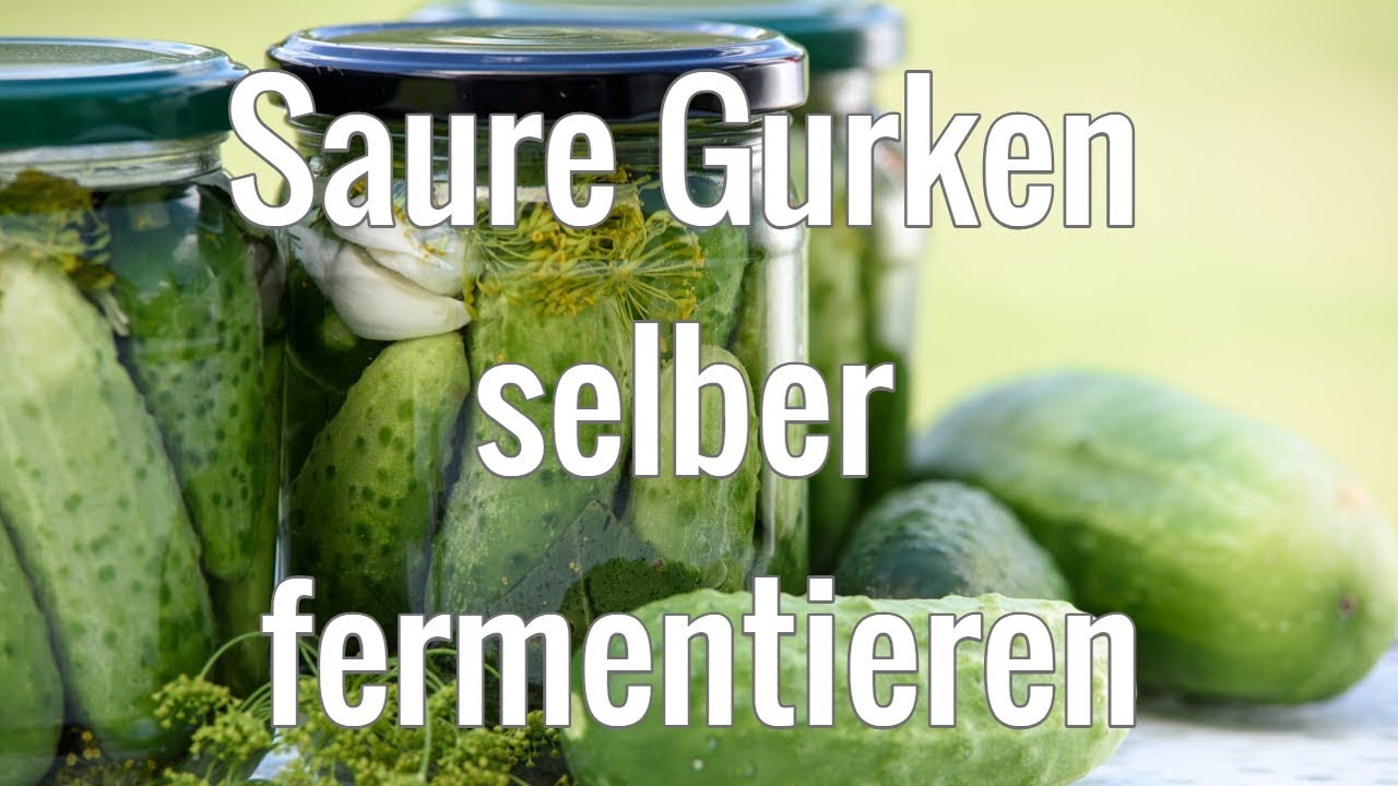 Saure Gurken Fermentieren - YouTube