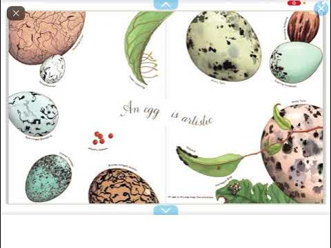 An egg is quiet (reading on Epic) - YouTube