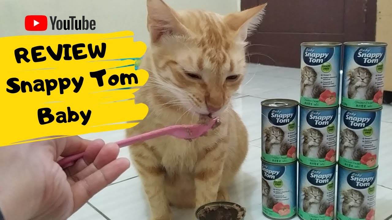 Review Catfood Snappy Tom Baby Wetfood Favorit Kucing| My Cats Diary ...