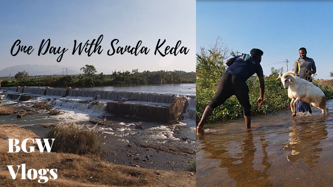 Muttu Keda swimming training!!!!!! - YouTube