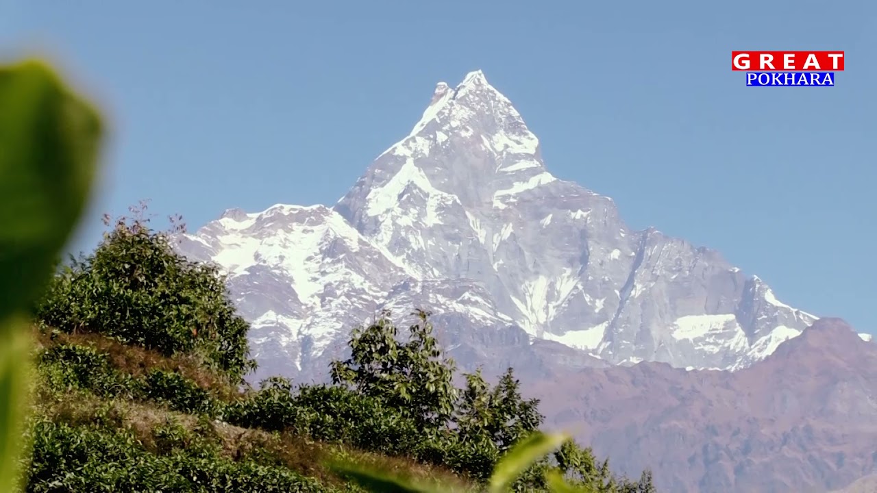 Lwang Village Kaski || Top Homestay of Nepal पश्चिमकै ठूलो चियाबारी ...