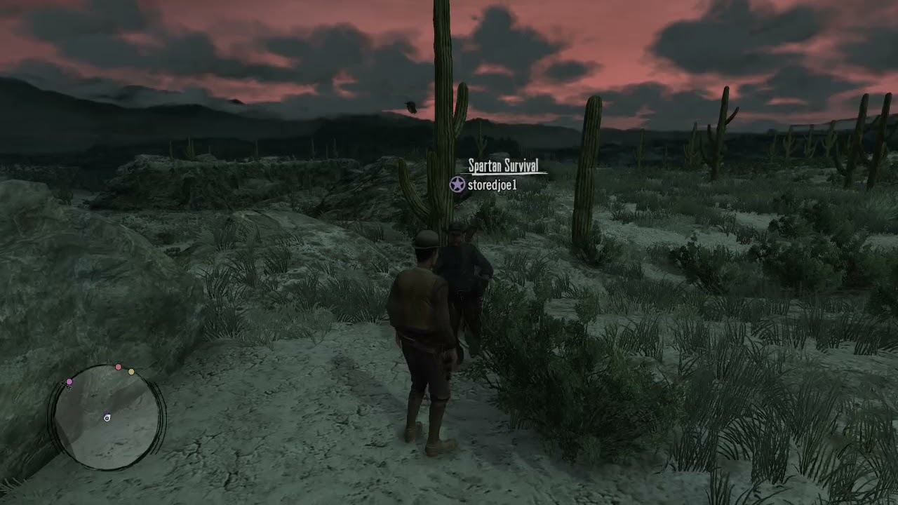 My introduction to Red Dead Redemption 1 Online - YouTube