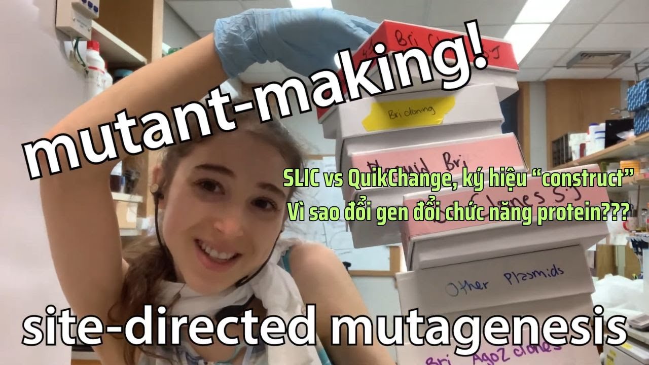 Site-Directed Mutagenesis: SLIC vs QuikChange, ký hiệu “construct ...