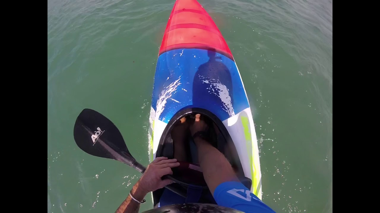 Surf kayaker rescues drowning bird - YouTube