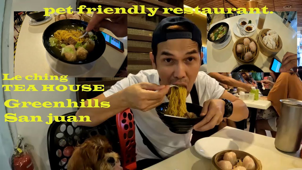 Le ching tea house pet friendly restaurant/jun sarita. - YouTube