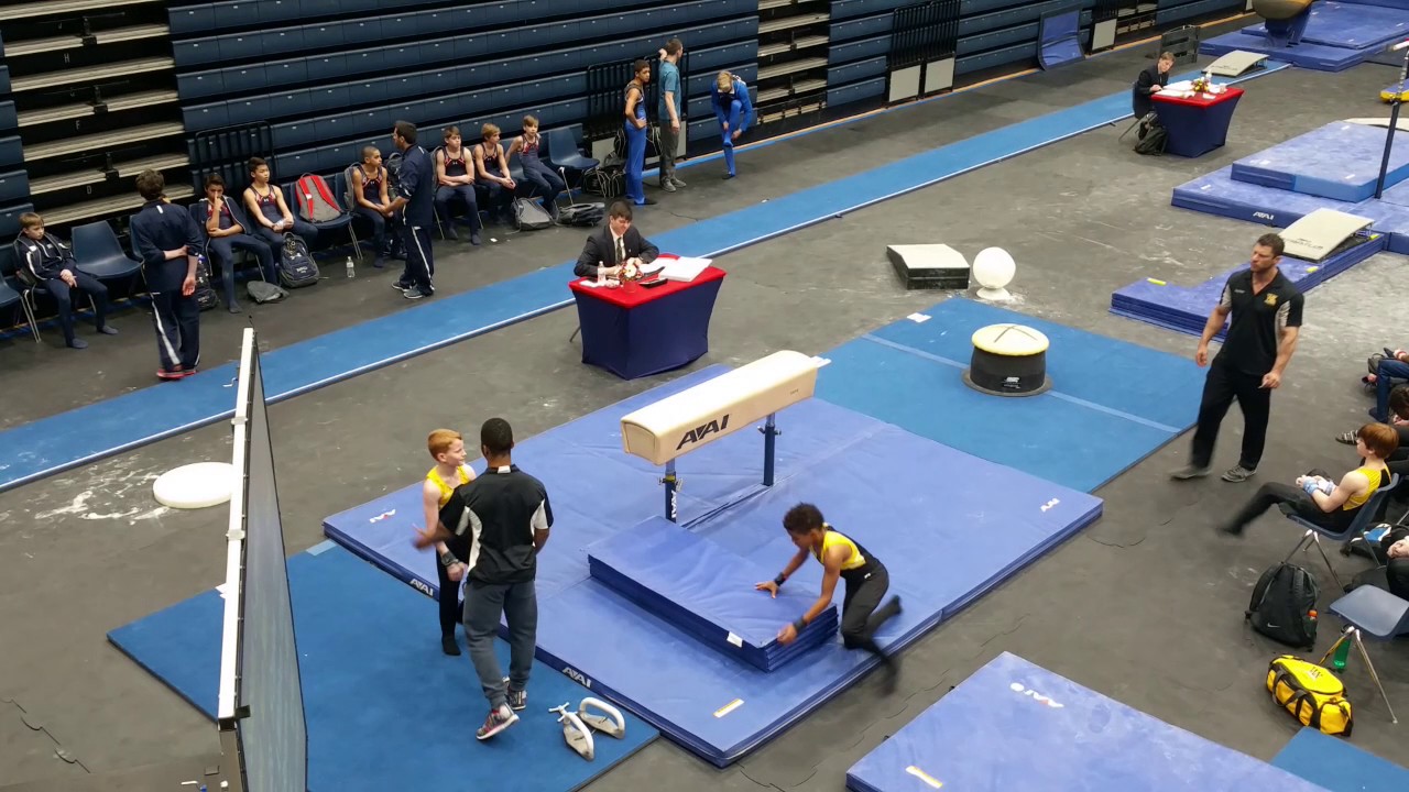 Samuel Estes Events GA State Gymnastics 2017 - YouTube