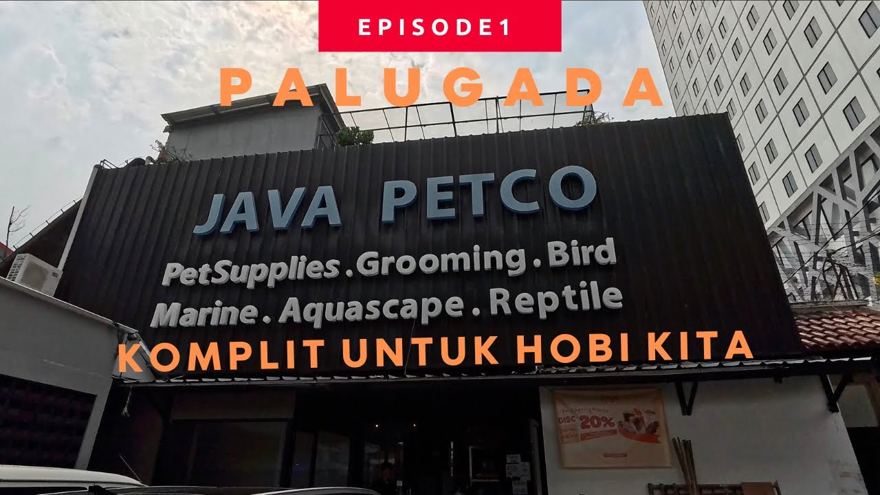 SOWAN EPS 1. TERNYATA SEMUA KEBUTUHAN HOBI KITA ADA DISINI | JAVA PETCO &AQUATIC !!! - YouTube