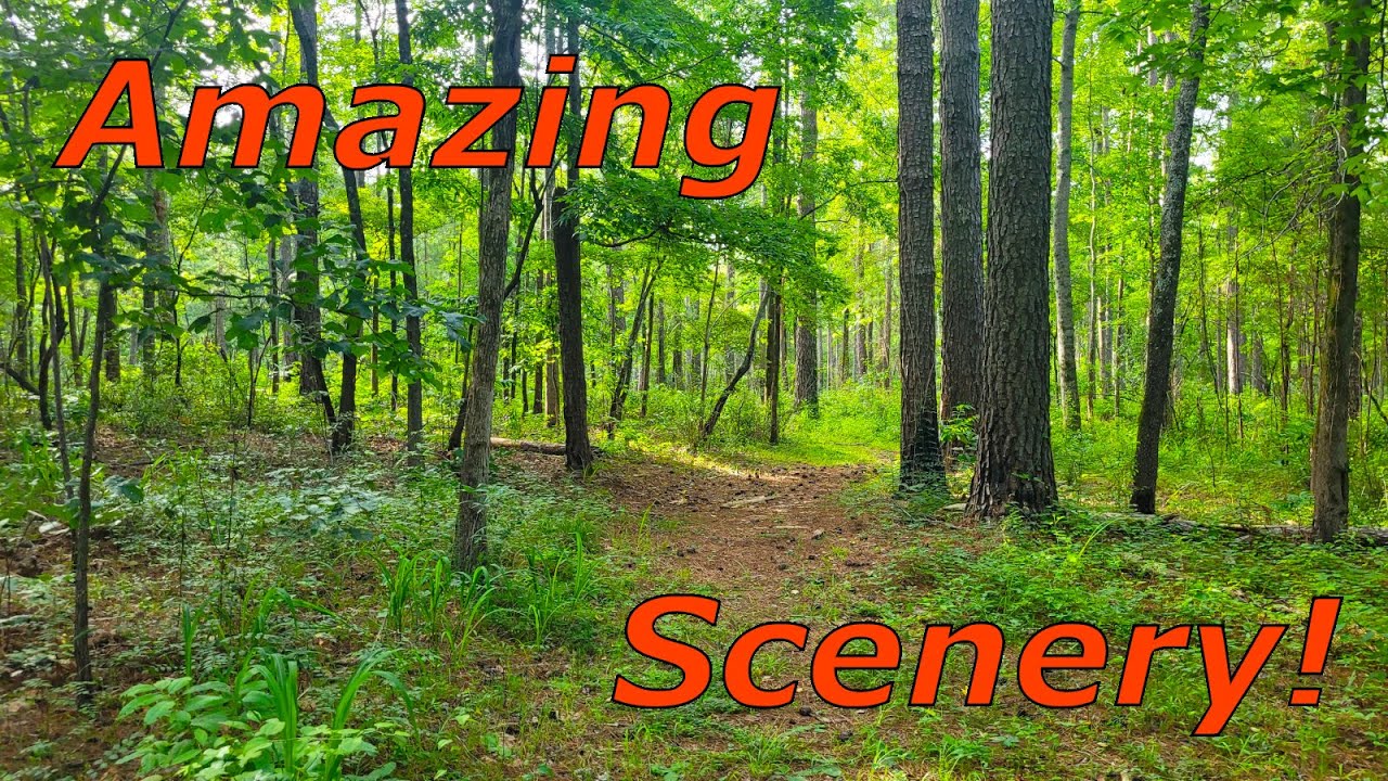 Exploring The Forests Of Central Georgia! Hiking The Chattahoochee ...