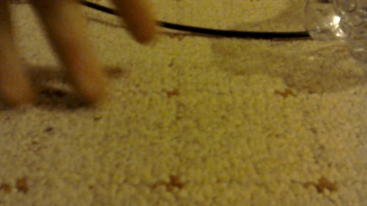 The sheep shimmy - YouTube