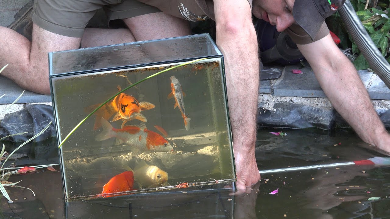 INVERTED AQUARIUM INSTALLATION - YouTube