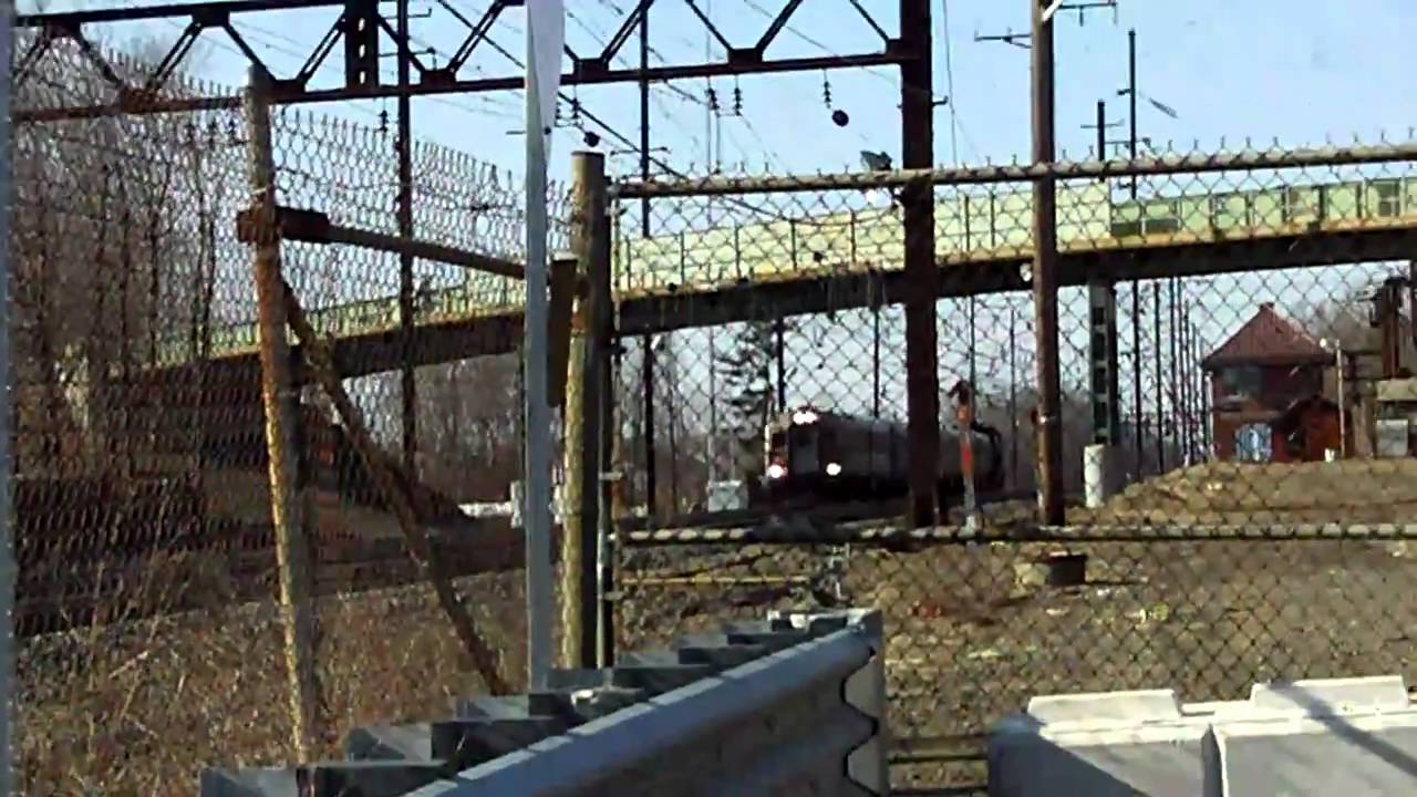 njt acl deadhead with mini horn show - YouTube