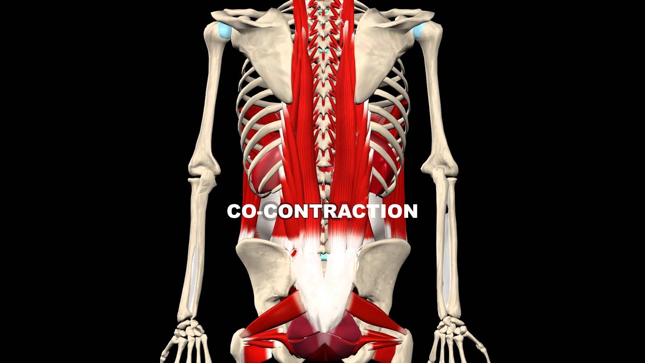 Abdominal Bracing - YouTube