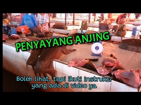 Road trip Sulawesi18, SEPERTI INI KONDISI PASAR EXTREME TOMOHON YANG ...
