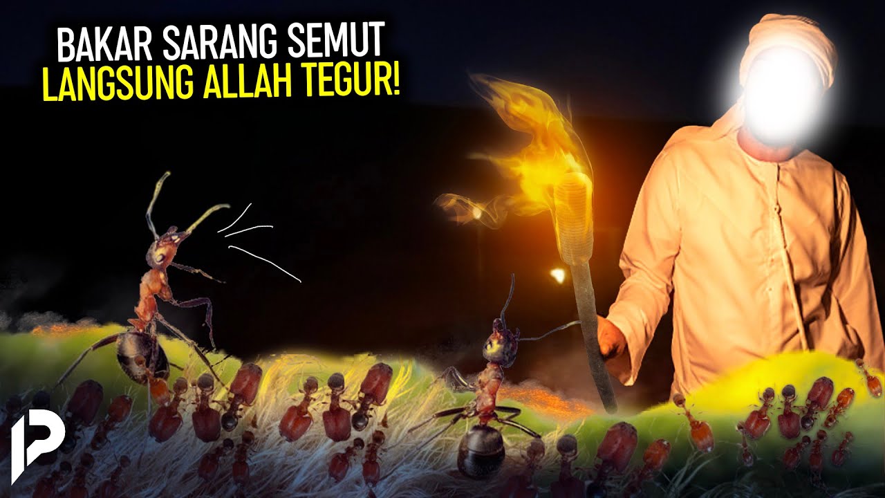 Semut Sudah Menyelamatkan Nabi Ibrahim, Nabi Musa Malah Membakar Desa ...